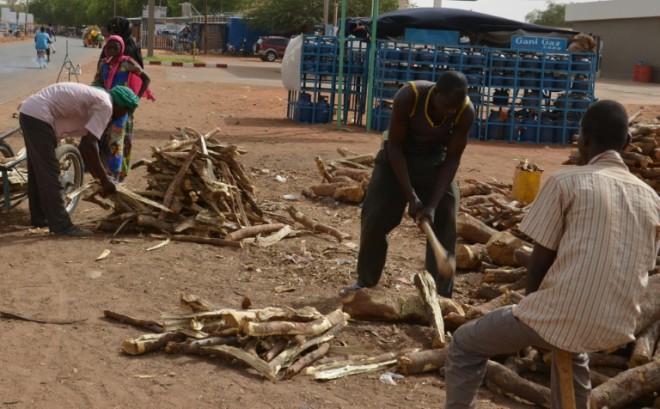 Niger : promouvoir le gaz pour lutter contre la déforestation – Sahel ...