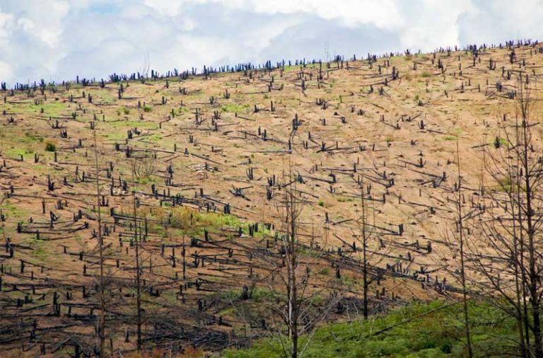 Angola : la lutte contre la perte de la biodiversité et la ...