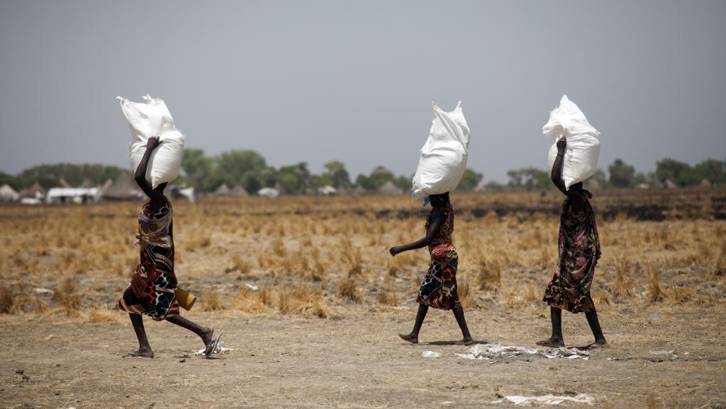 ONU : 45 millions de personnes menacées de grave crise alimentaire en Afrique australe – Sahel ...