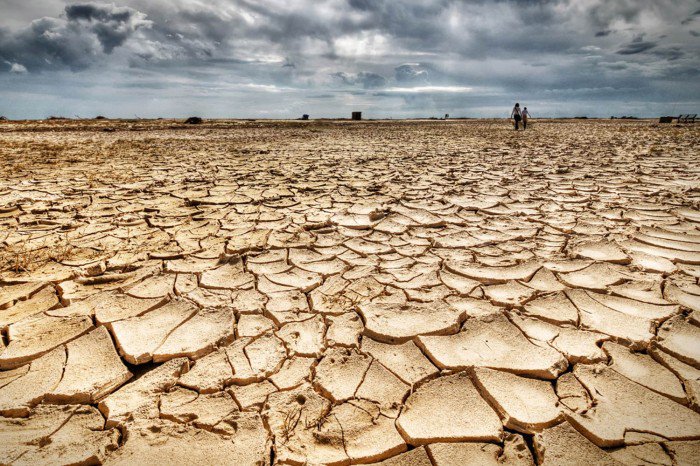 Burkina Faso : Les sols sont de plus en plus menacés par la dégradation ...